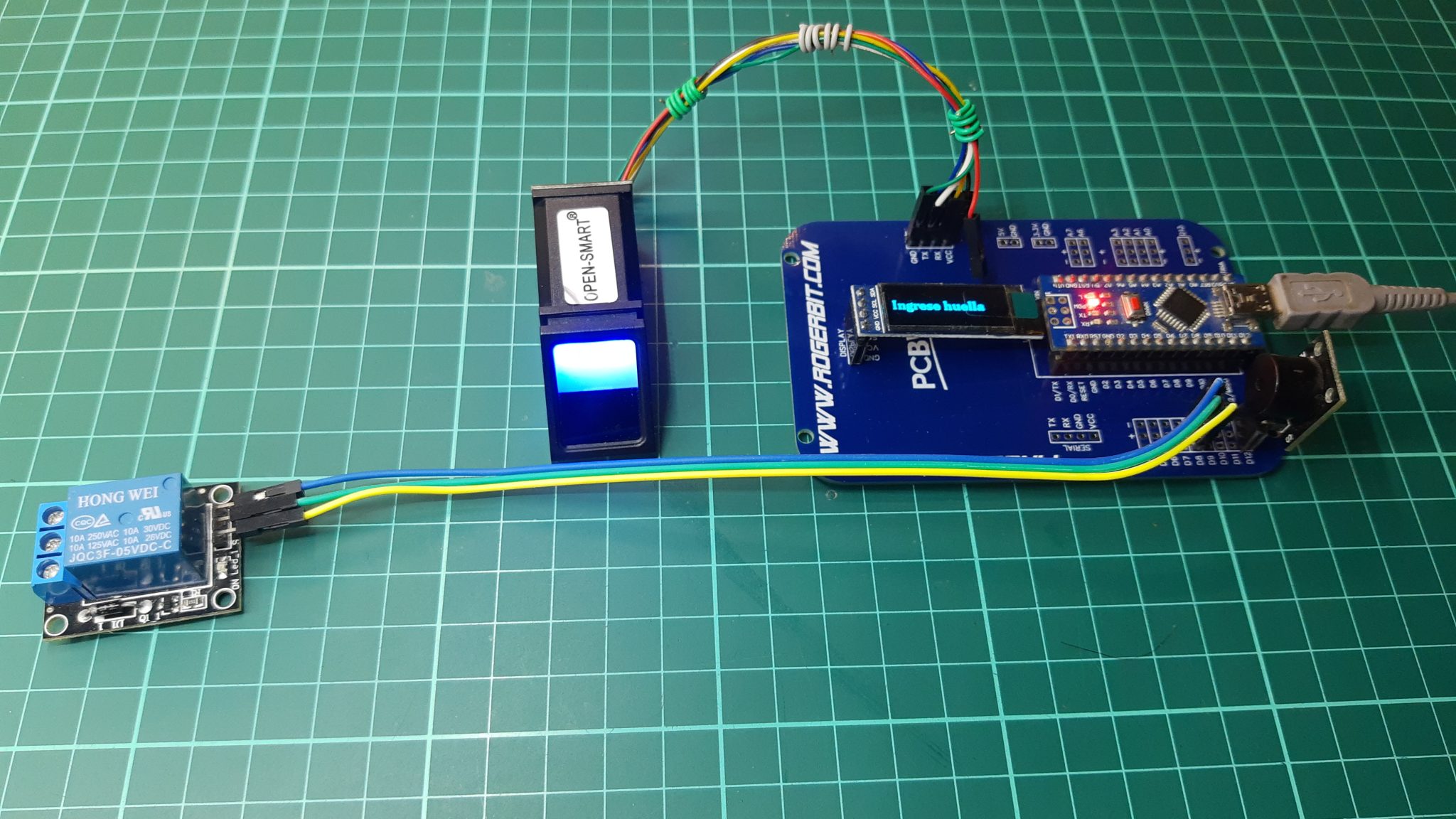 RogerBit – "The Power Of The Bit"